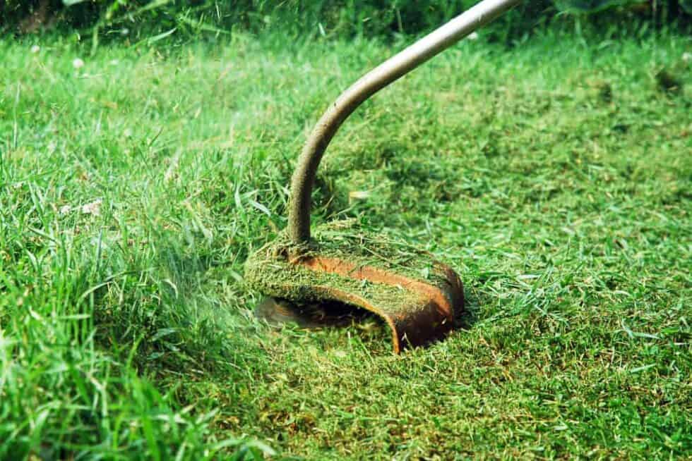 How To Use A Whipper Snipper Au
