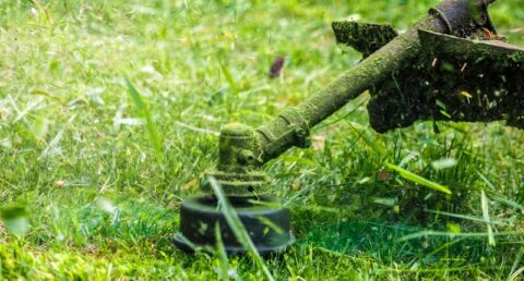 How To Use A Whipper Snipper | Lawn.com.au