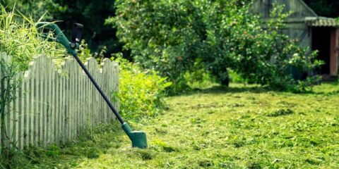 How To Use A Whipper Snipper | Lawn.com.au