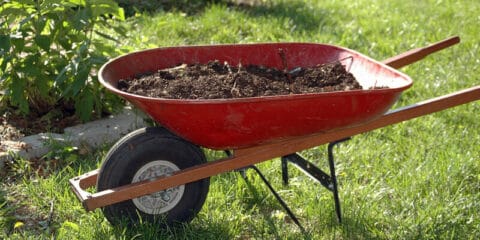 Top Dressing A Lawn: How, When, And Why