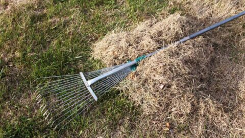 How To Fix A Patchy Lawn