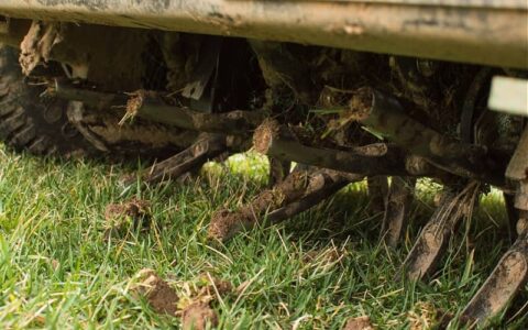 How To Aerate A Lawn