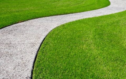 Types Of Lawn Grass In Australia