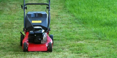 How To Level A Lawn | Lawn.com.au