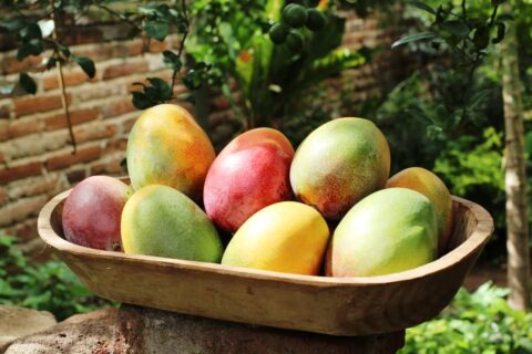 How To Ripen Mangoes Naturally (And Quickly!) | Lawn.com.au