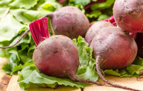 Beetroot Varieties In Australia