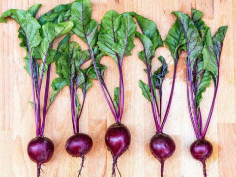 Beetroot Varieties In Australia