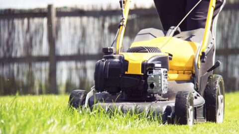 How To Turn Off A Lawn Mower | Lawn.com.au