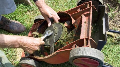 What To Do If Your Lawn Mower Is Overheating | Lawn.com.au