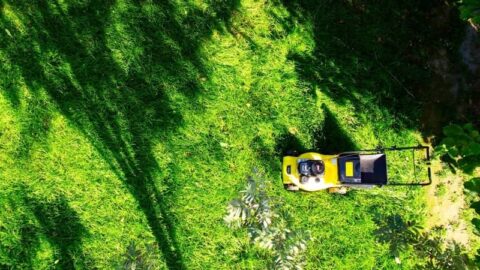 What To Do If Your Lawn Mower Is Overheating | Lawn.com.au