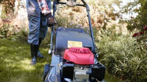 Lawn Mower Pull Cord Stuck? Here's How To Fix It