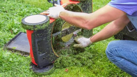 Lawn Mower Pull Cord Stuck? Here's How To Fix It